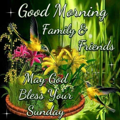 May God Bless Your Sunday Pictures, Photos, and Images for Facebook ...