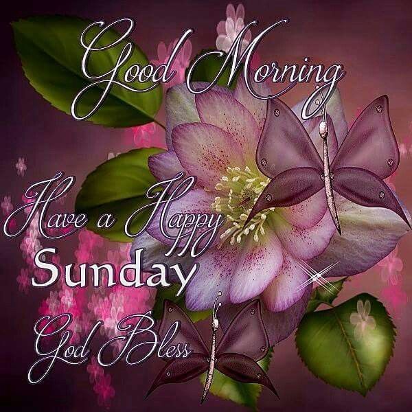 Good Morning, Have A Happy Sunday, God Bless Pictures, Photos, and ...