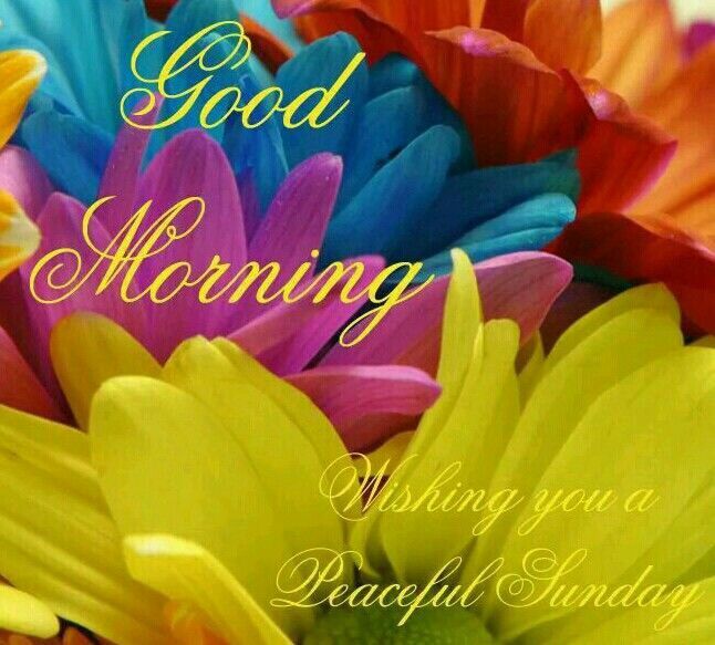 Good Morning, Wishing You A Peaceful Sunday Pictures, Photos, and ...