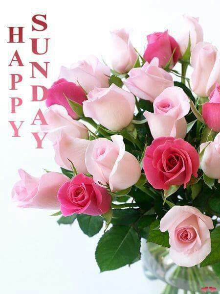 Happy Sunday Pictures, Photos, and Images for Facebook, Tumblr ...