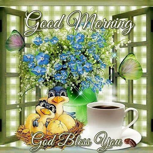 Good Morning, God Bless You Pictures, Photos, and Images for Facebook ...