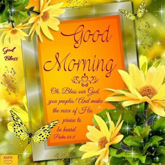 Good Morning Pictures, Photos, and Images for Facebook, Tumblr ...