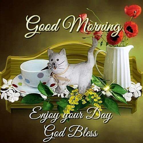 Good Morning, Enjoy Your Day Pictures, Photos, and Images for Facebook ...