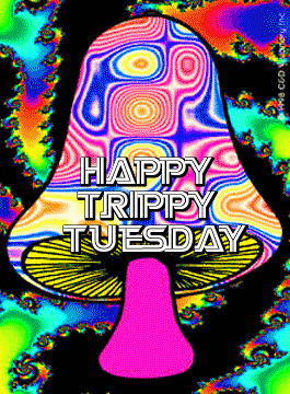 Happy Trippy Tuesday Pictures, Photos, and Images for Facebook, Tumblr ...