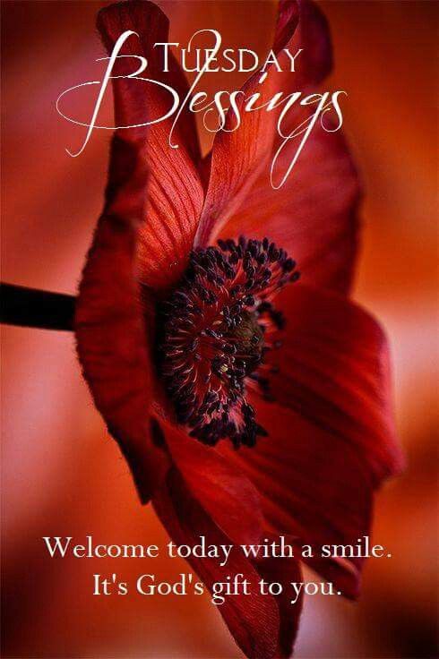 Tuesday Blessings Pictures, Photos, and Images for Facebook, Tumblr ...