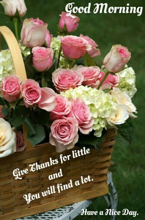 Good Morning, Give Thanks For Little And You Will Find Alot Pictures ...