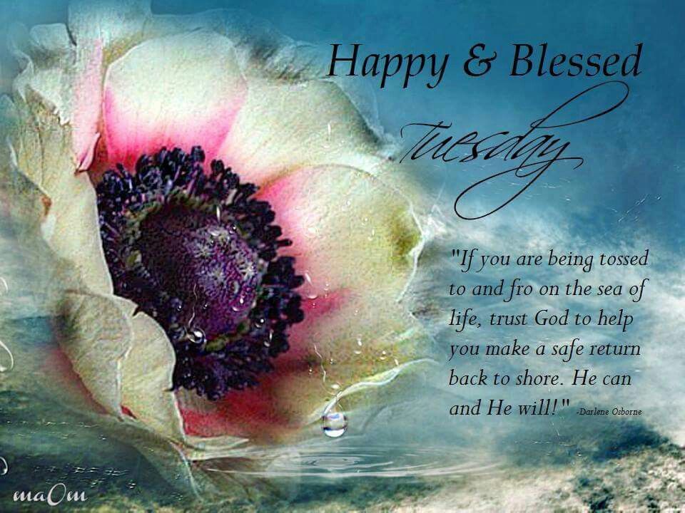 Happy & Blessed Tuesday Pictures, Photos, and Images for Facebook ...