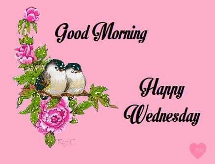 Good Morning Happy Wednesday Birds Pictures, Photos, and Images for ...