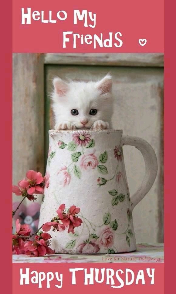 Hello My Friends, Happy Thursday Pictures, Photos, and Images for ...