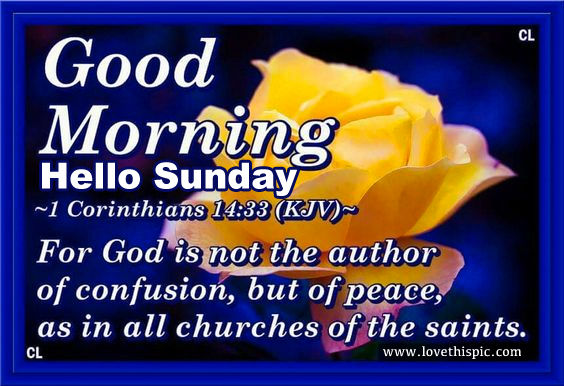 Good Morning, Hello Sunday Pictures, Photos, and Images for Facebook ...