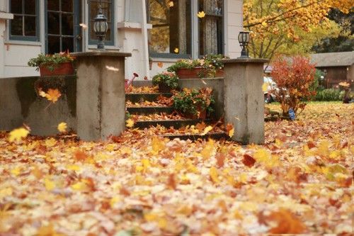 Autumn Leaves At Home Pictures, Photos, and Images for Facebook, Tumblr ...