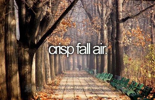 Crisp Fall Air Pictures, Photos, and Images for Facebook, Tumblr ...