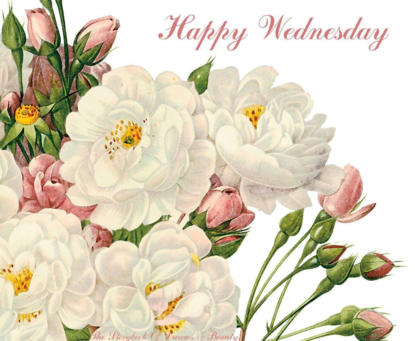 Happy Wednesday Pictures, Photos, and Images for Facebook, Tumblr ...