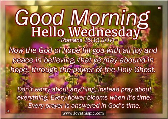 Good Morning, Hello Wednesday Pictures, Photos, and Images for Facebook ...