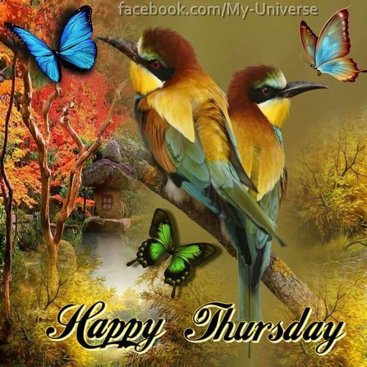 Happy Thursday Pictures, Photos, and Images for Facebook, Tumblr ...