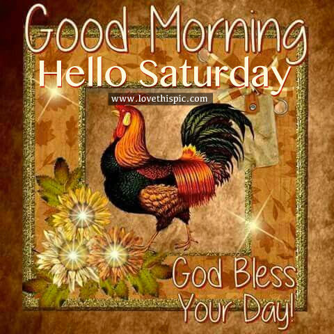 Good Morning, Hello Saturday Pictures, Photos, and Images for Facebook ...