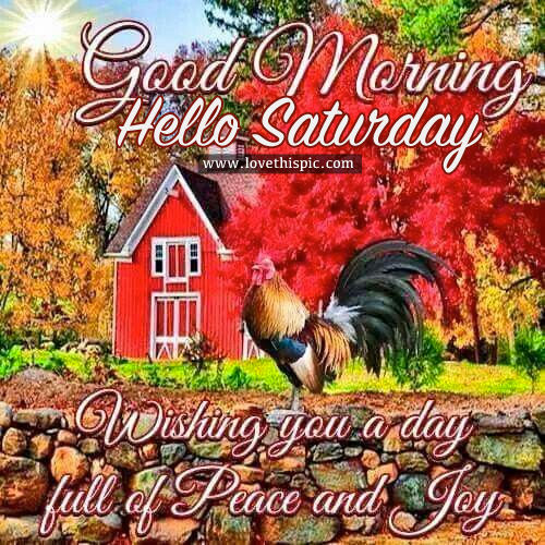 Good Morning, Hello Saturday Pictures, Photos, and Images for Facebook ...