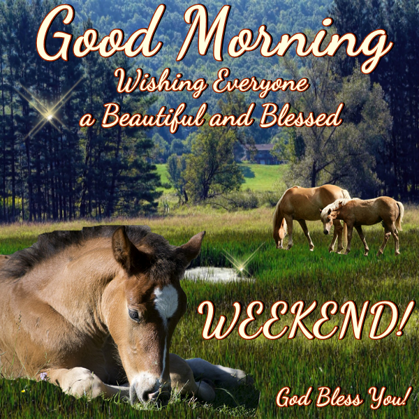 Good Morning, Wishing Everyone A Beautiful And Blessed Weekend Pictures ...