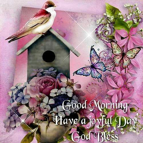 Good Morning, Have A Joyful Day, God Bless Pictures, Photos, and Images ...