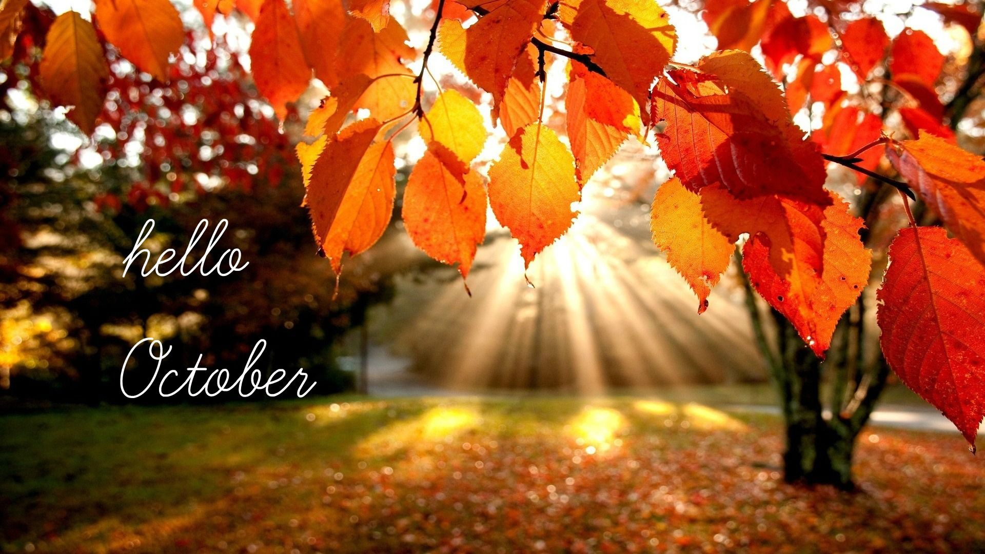 Hello October Pictures, Photos, and Images for Facebook, Tumblr ...