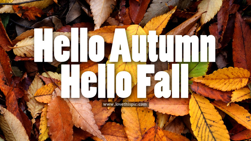 Hello Autumn, Hello Fall Pictures, Photos, and Images for Facebook ...