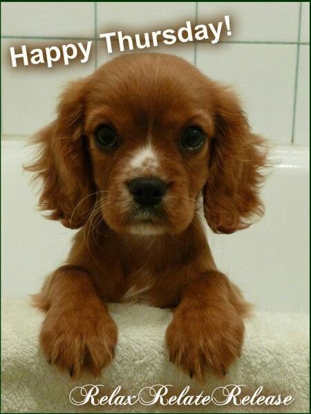 Happy Thursday Pictures, Photos, and Images for Facebook, Tumblr ...