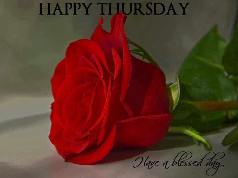 Happy Thursday Pictures, Photos, and Images for Facebook, Tumblr ...