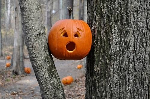 Surprised Pumpkin Faces