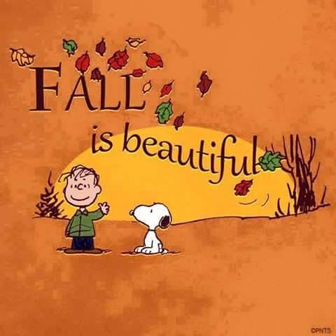 Fall Is Beautiful Pictures, Photos, and Images for Facebook, Tumblr ...