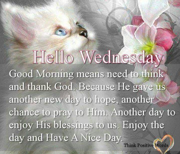 Hello Wednesday Pictures, Photos, and Images for Facebook, Tumblr ...