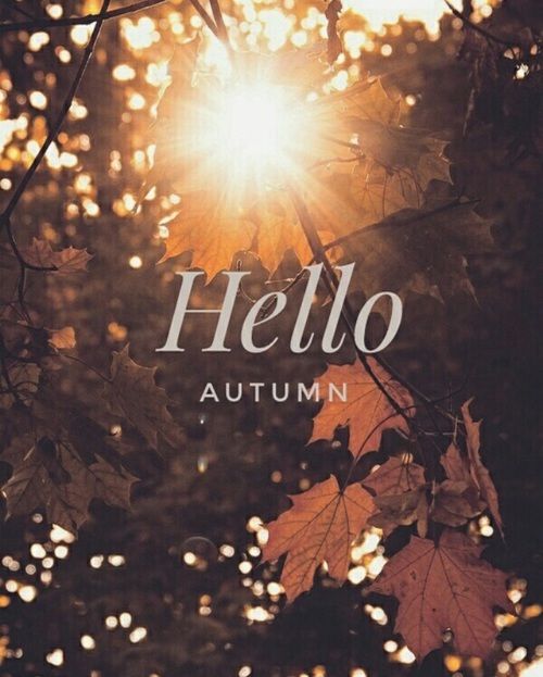 Hello Autumn Pictures, Photos, and Images for Facebook, Tumblr ...