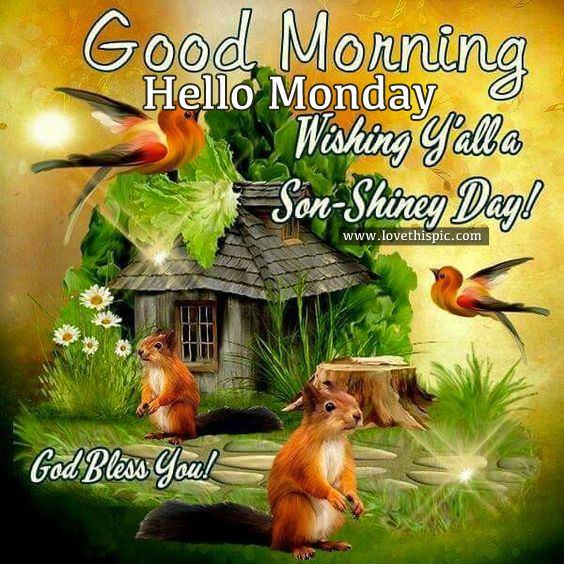 Good Morning, Hello Monday Pictures, Photos, and Images for Facebook ...