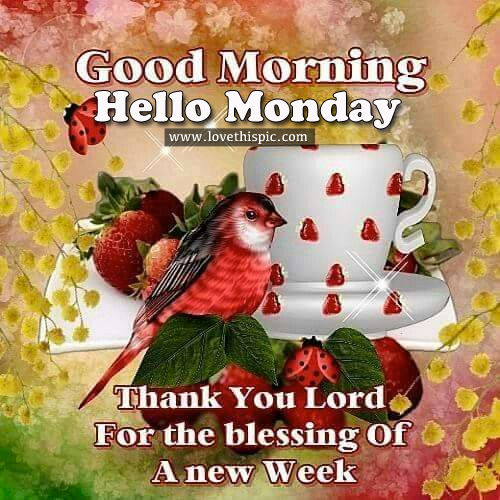 Good Morning, Hello Monday Pictures, Photos, and Images for Facebook ...