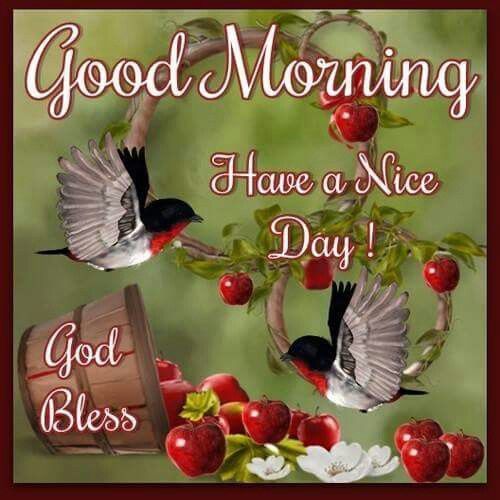 Good Morning, God Bless Pictures, Photos, and Images for Facebook ...