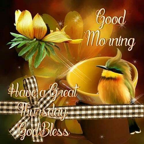 Good Morning, Have A Great Thursday Pictures, Photos, and Images for ...