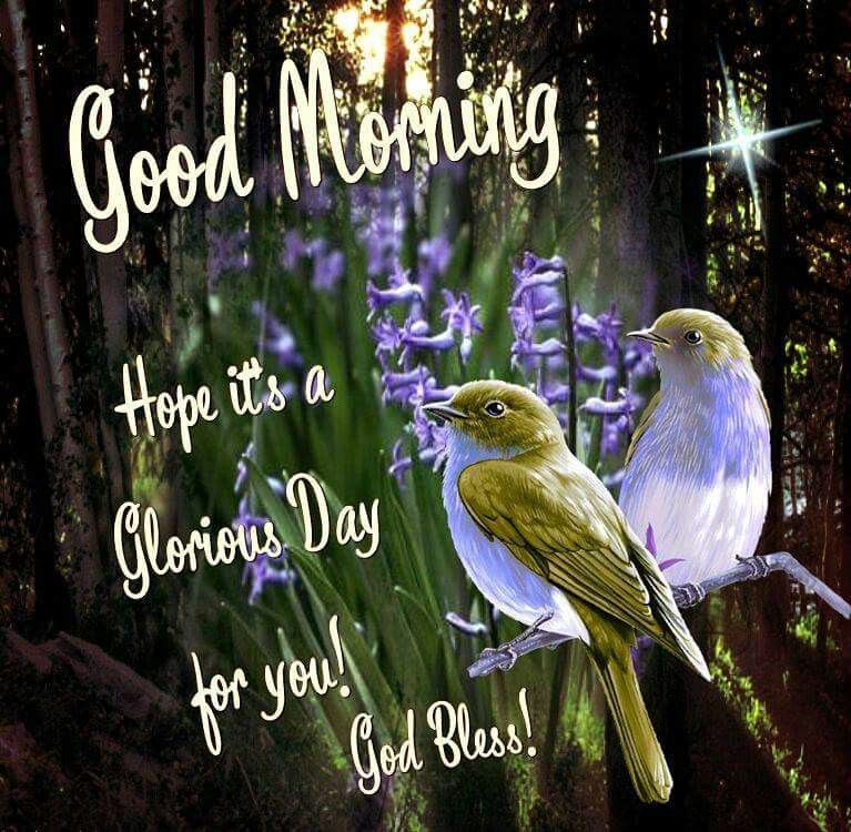 Good Morning Pictures, Photos, and Images for Facebook, Tumblr ...