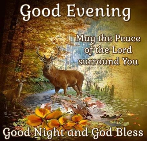 Good Evening May The Peace Of The Lord Surround You Pictures, Photos ...