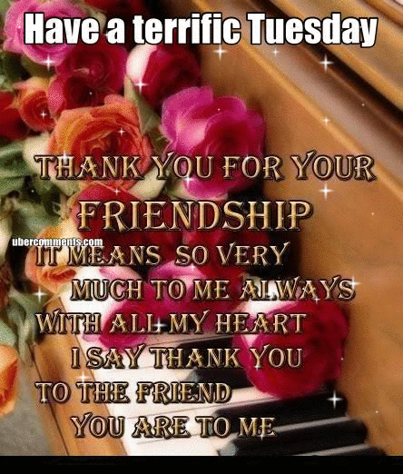 Have A Terrific Tuesday Pictures, Photos, and Images for Facebook ...