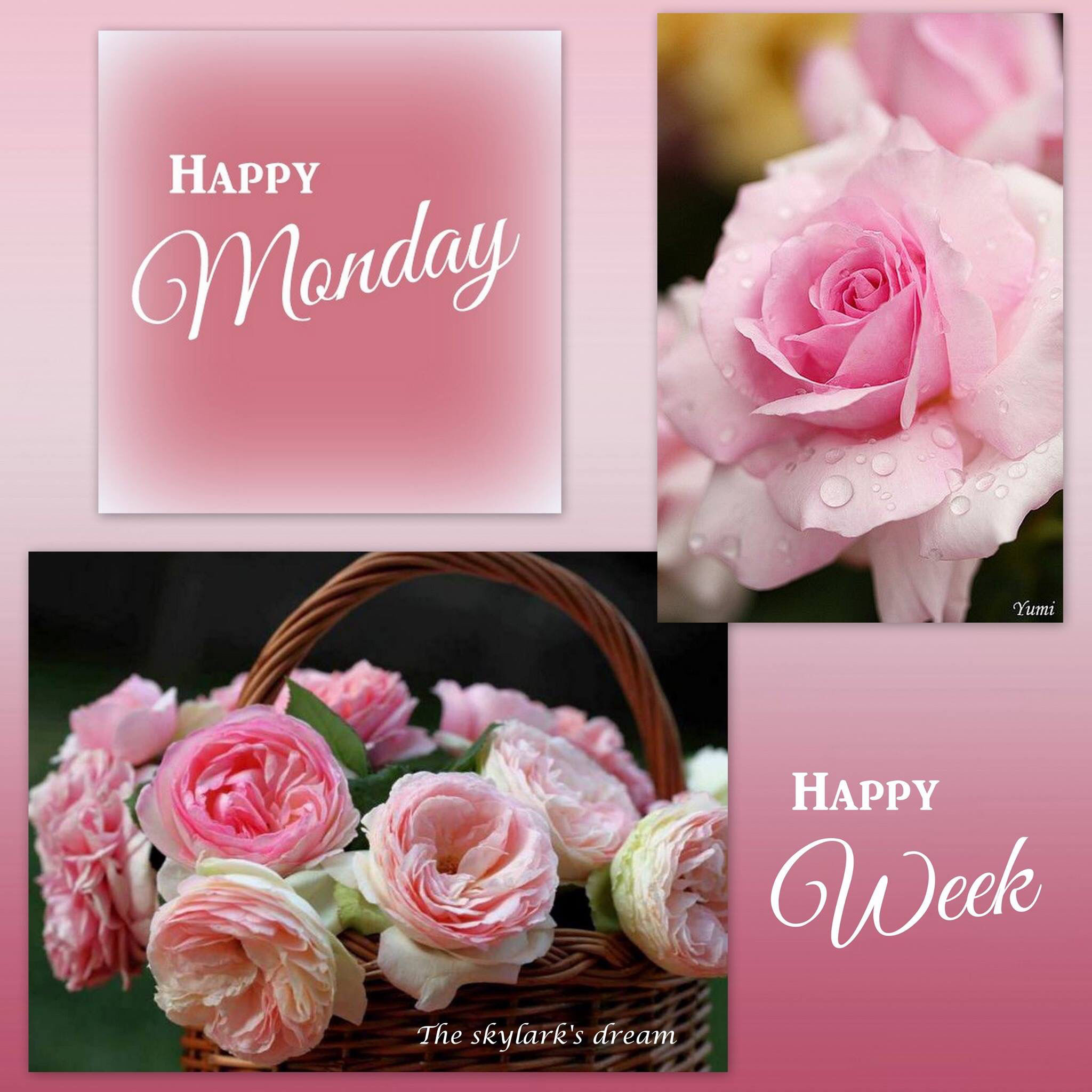 Happy Monday, Happy Week Pictures, Photos, and Images for Facebook ...
