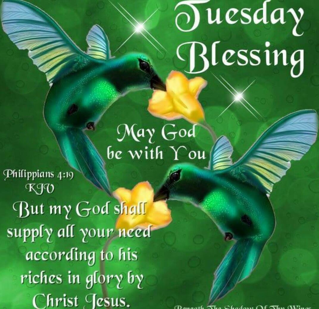 Tuesday Blessing Pictures, Photos, and Images for Facebook, Tumblr ...