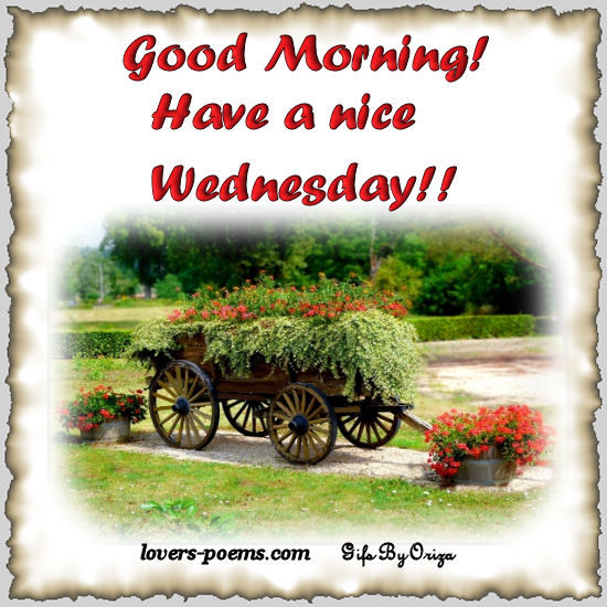 Good Morning, Have A Nice Wednesday! Pictures, Photos, and Images for ...