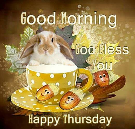 Good Morning, God Bless You, Happy Thursday Pictures, Photos, and ...