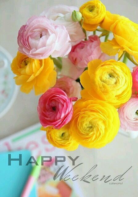 Happy Weekend Pictures, Photos, and Images for Facebook, Tumblr ...