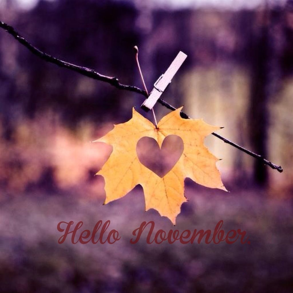 Hello November Pictures, Photos, and Images for Facebook, Tumblr ...