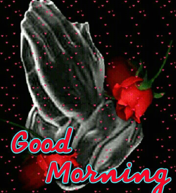 Good Morning Pictures, Photos, and Images for Facebook, Tumblr ...