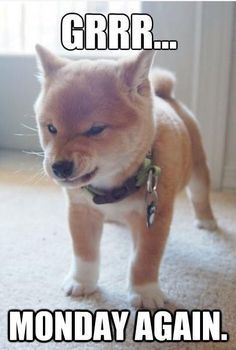 Grrr...Monday Again Pictures, Photos, and Images for Facebook, Tumblr, Pinterest, and Twitter
