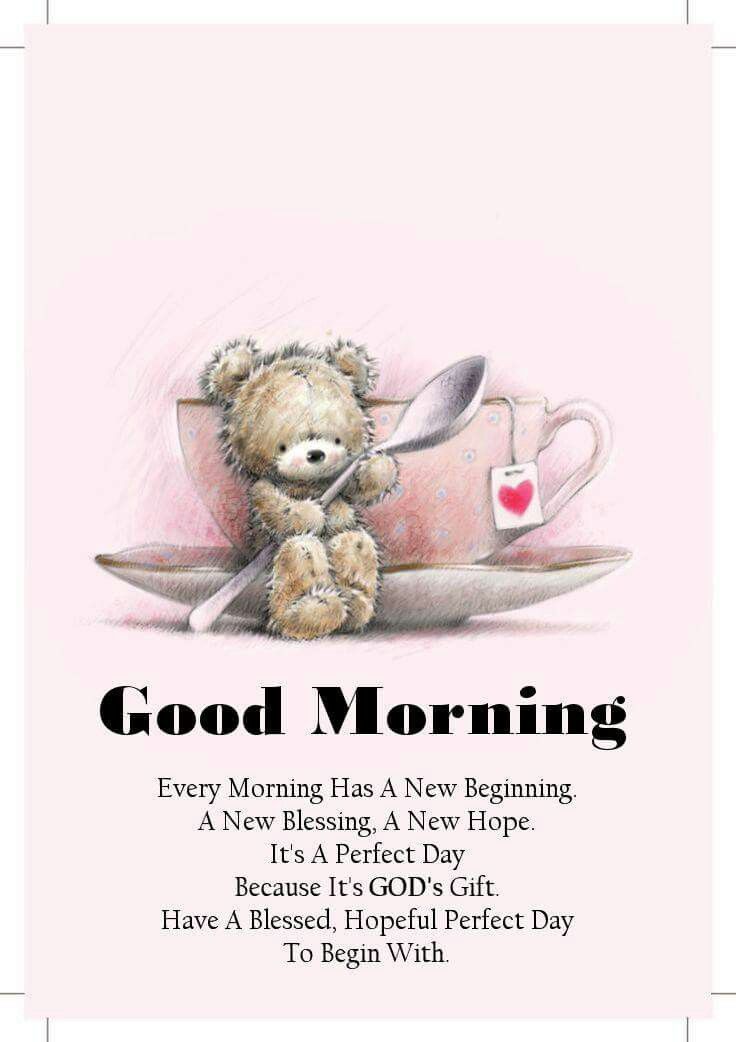 Good Morning Pictures, Photos, and Images for Facebook, Tumblr ...