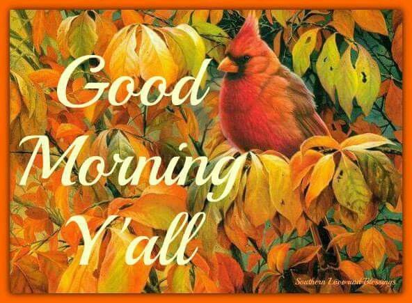 Good Morning Y'all Pictures, Photos, and Images for Facebook, Tumblr ...