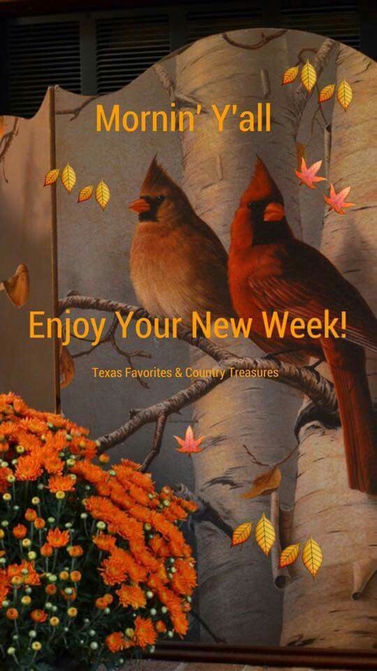 Morning Yall Pictures, Photos, and Images for Facebook, Tumblr ...