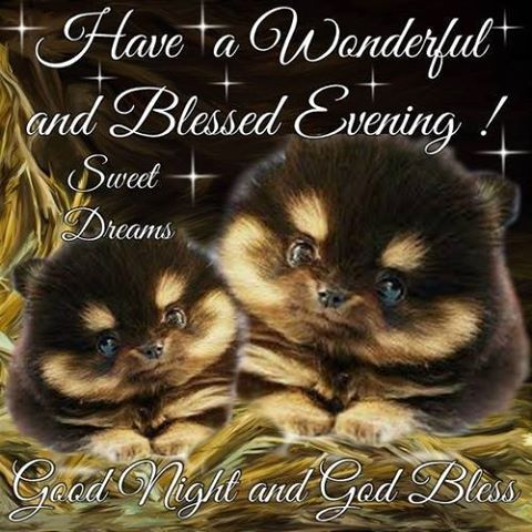 Have A Wonderful And Blessed Evening Pictures, Photos, and Images for ...